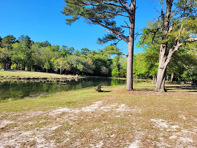 Towering pines stand sentinel around the peaceful shoreline, their reflections dancing on the water like nature's own screensaver come to life.