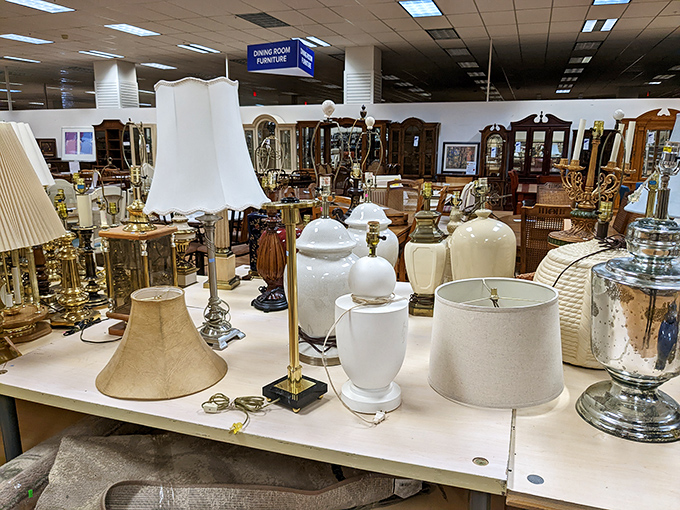 The lamp section rivals Aladdin's cave of wonders &ndash; each one waiting to brighten someone's home without dimming their savings.