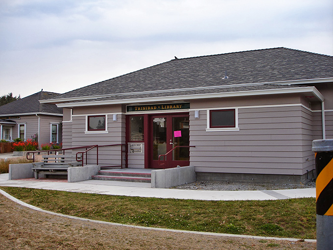 Trinidad's cozy library proves that great stories come in perfectly sized packages for this coastal community.