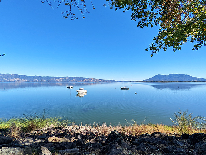Clear Lake's mirror-like surface reflects mountains and sky with such perfection that Instagram filters would feel utterly unnecessary.
