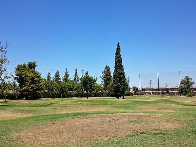 Lindsay Golf Course proves you don't need country club dues to enjoy a relaxing round. These mature trees provide more shade than your grandkids when you ask about their social media accounts.