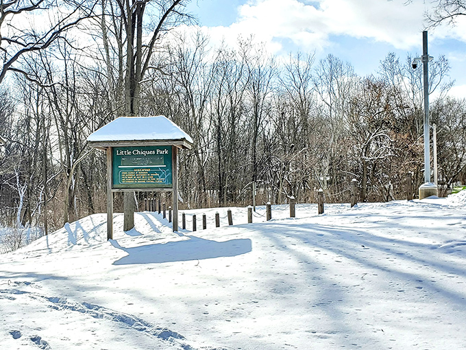 Little Chiques Park under winter's blanket transforms into a serene wonderland where the only sound is the satisfying crunch of snow beneath your boots.