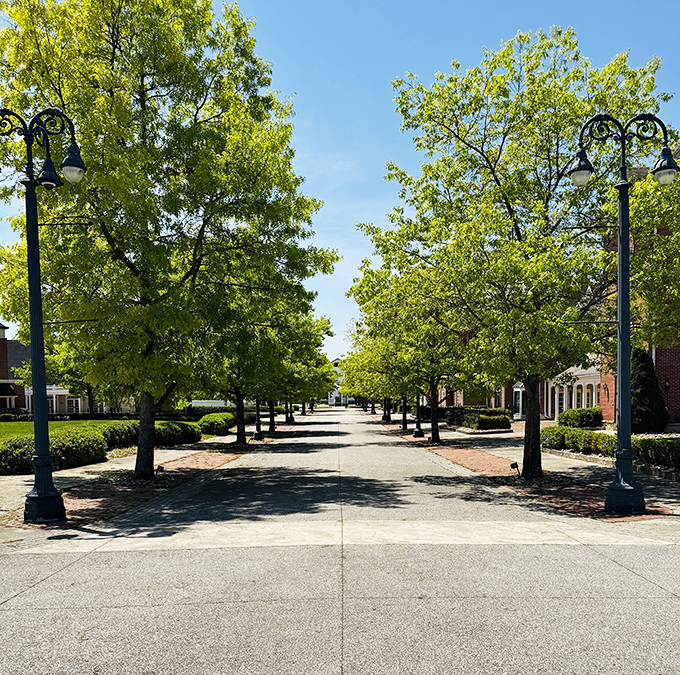A tree-lined pathway invites visitors to approach the basket spectacle. The landscaping creates a perfect frame for this oversized homage to fruit transportation.