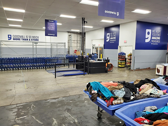 Blue bins as far as the eye can see—the modern-day equivalent of pirate treasure chests, minus the complicated maps and angry parrots.