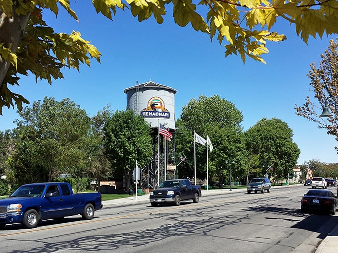 The leafy canopy frames Tehachapi's water tower like nature's own picture frame, offering shade and character to this unhurried main drag.