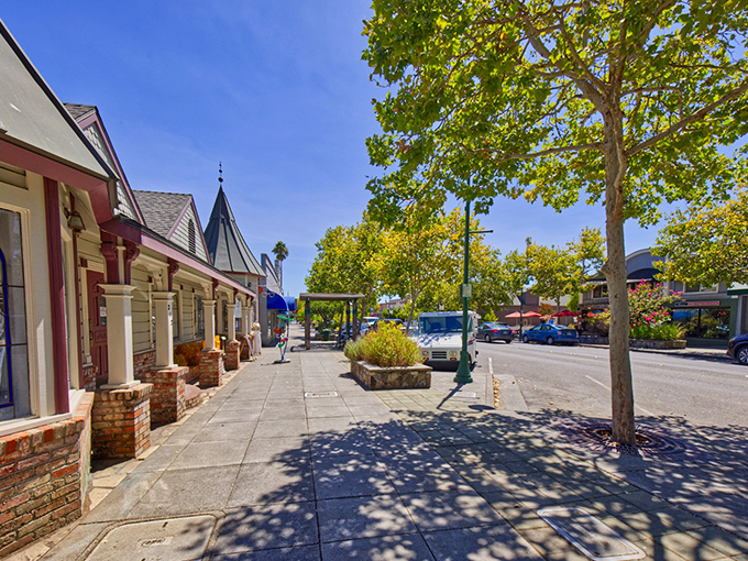 Historic buildings with character line Cloverdale's walkable downtown. The kind of place where "rush hour" means three people arrived at the coffee shop simultaneously.