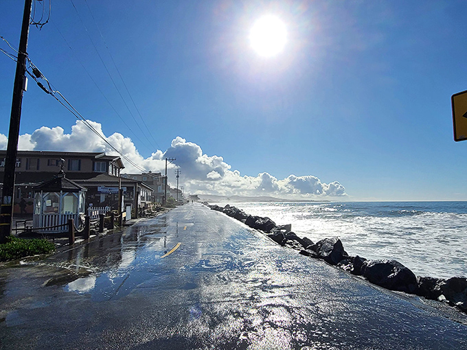 After a morning storm, the coastline glistens like nature just finished polishing it. The perfect backdrop for contemplative walks or impromptu wave-watching. 