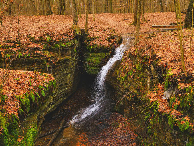 Autumn's golden carpet meets liquid silver. This delicate waterfall carves its patient path through ancient rock, creating nature's perfect soundtrack.