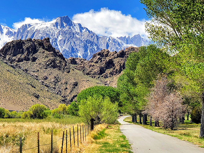 Nature's cathedral on full display. This country road leads straight to the kind of view that makes you pull over and just breathe it all in.