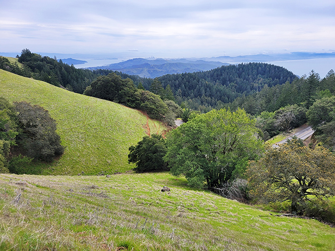 Rolling hills that seem to undulate forever, like Mother Nature's version of a luxury mattress commercial. "Rest your eyes here, weary traveler."