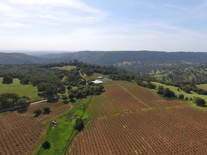 Rolling hills that once hid gold now reveal something better: perfect Sunday drive territory.