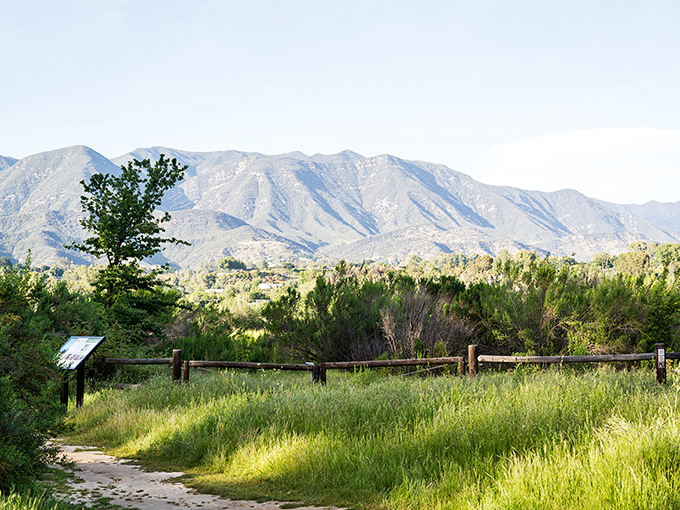 The Topatopa Mountains create a dramatic backdrop for Ojai's trails, where even the most dedicated city dweller might discover their inner naturalist.