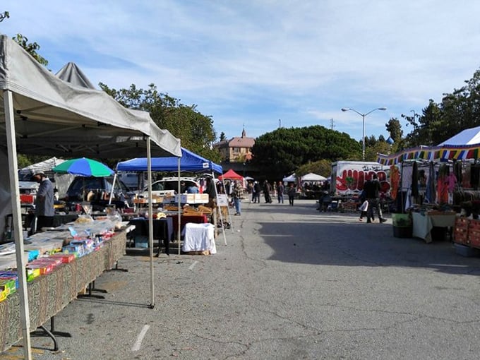 Midday at the market creates perfect browsing conditions: not too crowded, with plenty of time to discover that perfect something.