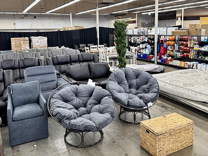 The furniture section offers plush papasan chairs that practically beg you to curl up with a good book. At these prices, your living room makeover just became surprisingly affordable.