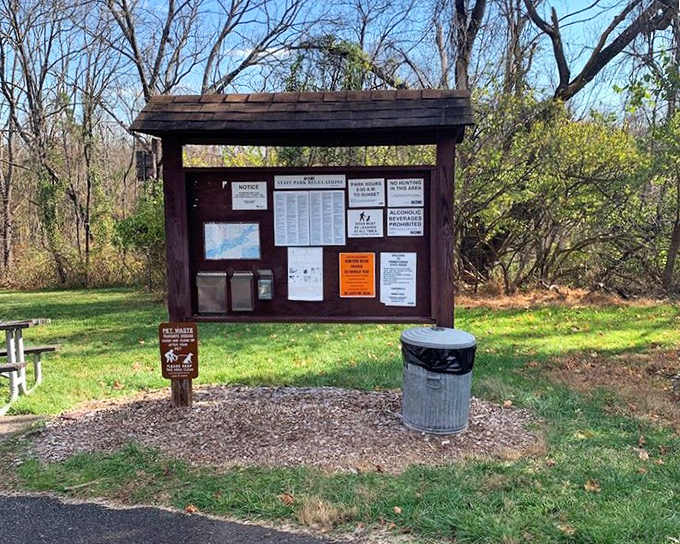 The information board—nature's version of Google, but with fewer ads and better scenery. Your adventure roadmap awaits!