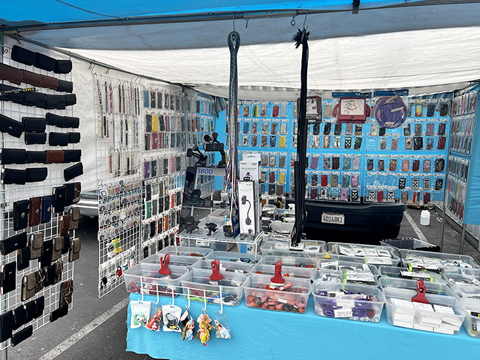 Need a phone case? How about 500 options? This technicolor wall of accessories makes the Apple Store look like it's not even trying.