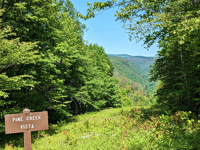 The Pine Creek Vista sign stands sentinel before a breathtaking valley view. Nature's IMAX screen, no ticket required.