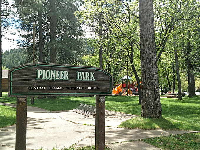 Pioneer Park doesn't need fancy amenities to create magic&mdash;just towering pines, dappled sunlight, and the laughter of children who haven't discovered screen time.