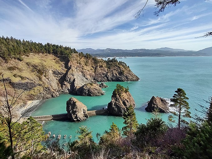 Mother Nature showing off again at Port Orford Heads State Park, where the turquoise waters and dramatic rock formations make even amateur photographers look like professionals.