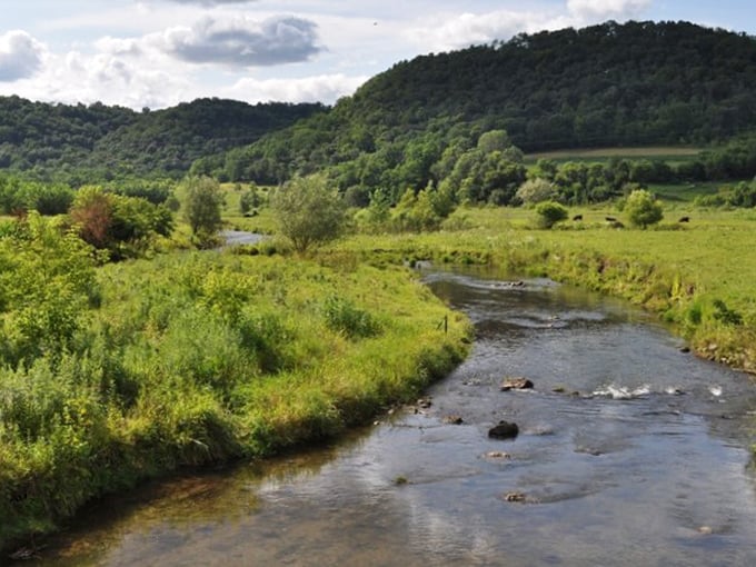 Mother Nature showing off her best work in the Driftless Region, where glaciers said "nope" and left behind this undulating masterpiece of valleys and streams.