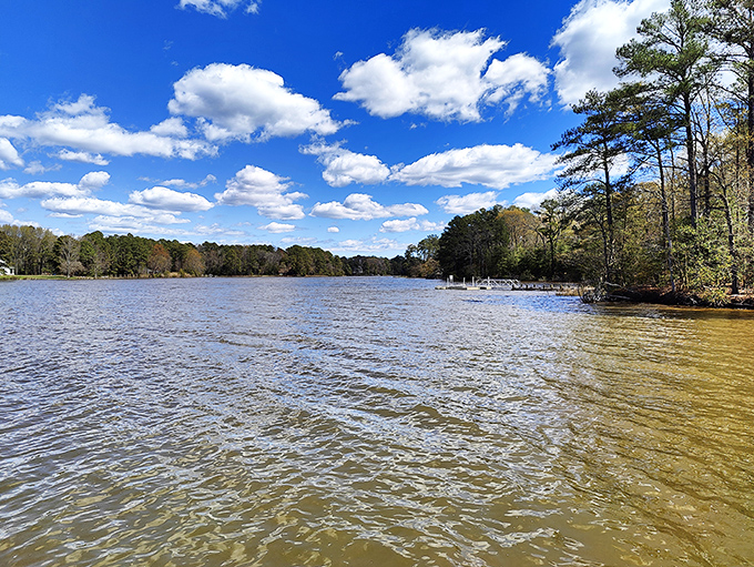 Cloud reflections dance across the Rappahannock's surface, creating a mirror world where sky and water become indistinguishable companions.