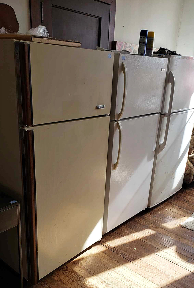 A refrigerator lineup that looks ready to keep your leftovers fresher than your dating profile.