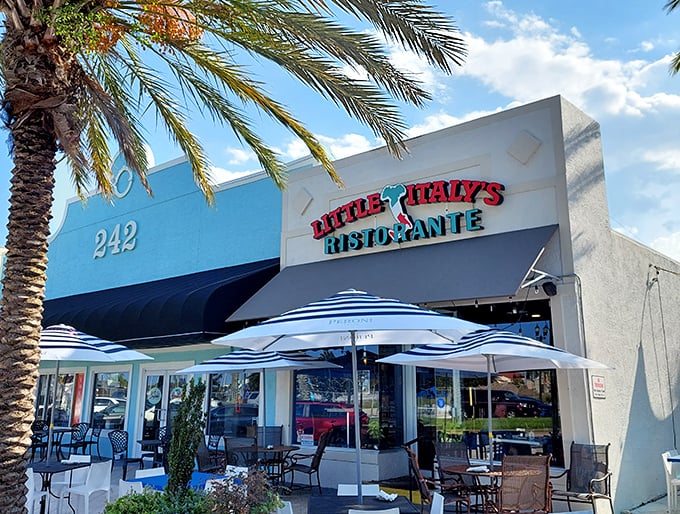 Little Italy's Ristorante isn't just a meal; it's a Mediterranean vacation hiding behind palm fronds. The outdoor seating practically whispers "stay awhile." 