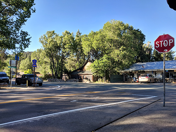 The universal small town traffic control system: one stop sign, zero rush hour, and mountains that make you forget why you were hurrying.