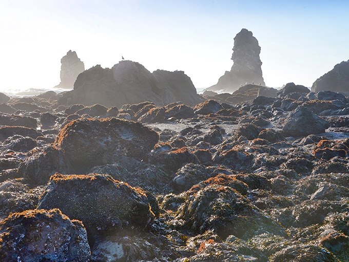 These ancient sea stacks at Bear Harbor have been perfecting their brooding, mysterious poses since long before Instagram made it cool.