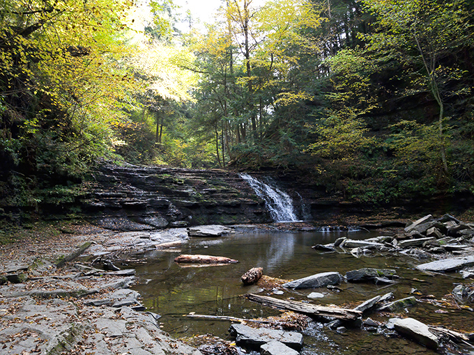 This tranquil pool below the falls invites contemplation&mdash;or wild splashing, depending entirely on your mood and whether you remembered to pack dry socks.