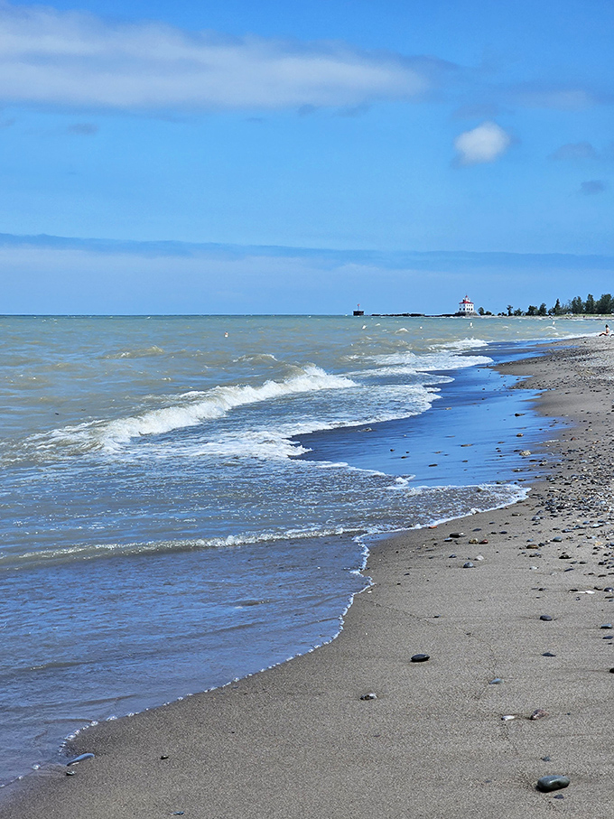 Lake Erie's gentle waves create a rhythmic soundtrack for beachcombers, proving the Midwest can deliver oceanside vibes without the salt.