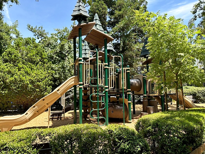 This enchanting play structure invites little adventurers to climb, slide, and imagine. Sherwood Forest without the threat of the Sheriff of Nottingham! 