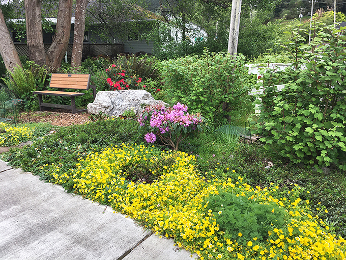 Even the pocket parks in Ferndale burst with color. This little oasis offers a perfect spot to rest between boutique explorations.