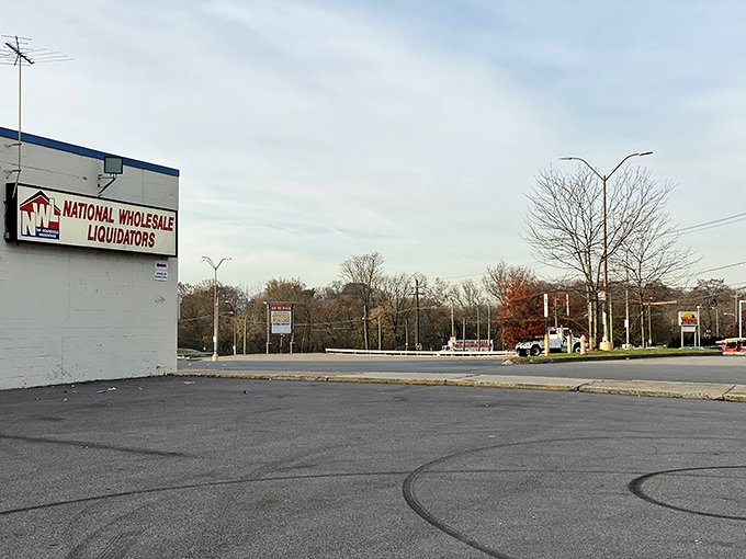 From this angle, National Wholesale Liquidators looks almost modest&mdash;until you step inside and discover the warehouse wonderland of discounts within.