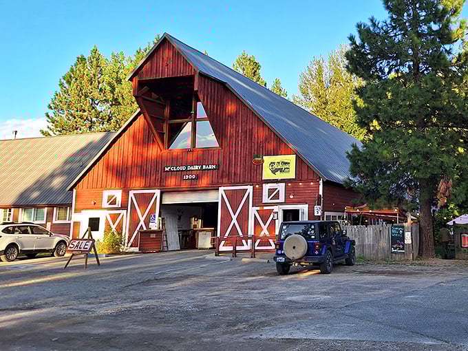 The converted McCloud Dairy Barn now houses Siskiyou Brew Works, where craft beer flows in a setting that reminds you some renovations improve on perfection.