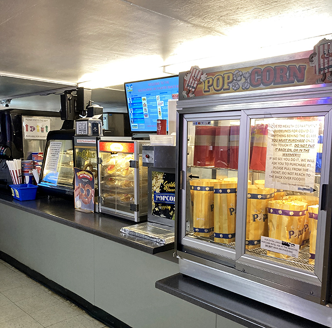 Cinema's sacred temple of treats: where popcorn dreams come true and candy choices become life's most important decision.