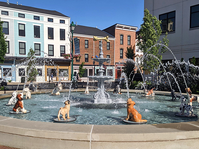 The whimsical dog fountain has become Mount Vernon's unexpected mascot, where bronze pups eternally enjoy the splash while humans contemplate joining them on hot summer days.