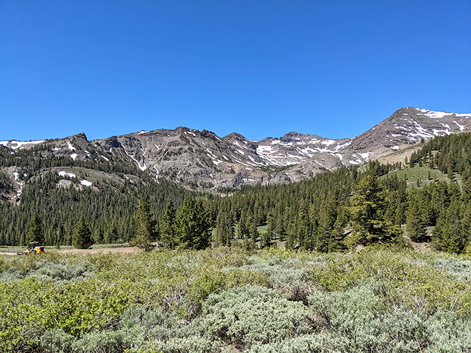The Sierra Nevada mountains don't just frame Sonora—they offer a playground where retirement means adventure, not rocking chairs.