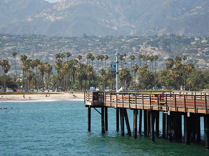 Stearns Wharf: where "taking a stroll" transforms into an accidental three-hour wandering session with the Pacific Ocean as your soundtrack.