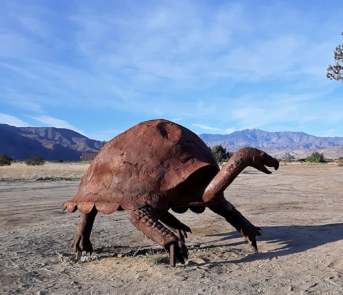 "I'm not slow, I'm contemplative!" This metal tortoise has been taking in the mountain views for years, never rushing the experience.
