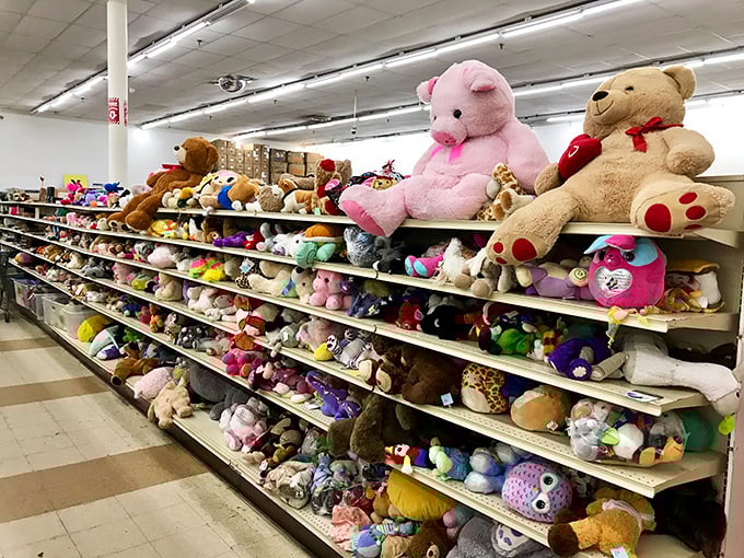 Stuffed animal heaven! This plush menagerie would make even Marie Kondo reconsider her minimalist stance. Every teddy bear has a story waiting for a new chapter.