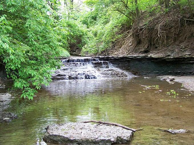Nature's own spa day awaits at Turtle Creek, where the gentle cascade creates a soundtrack that Spotify's "relaxation" playlist can only dream of matching.