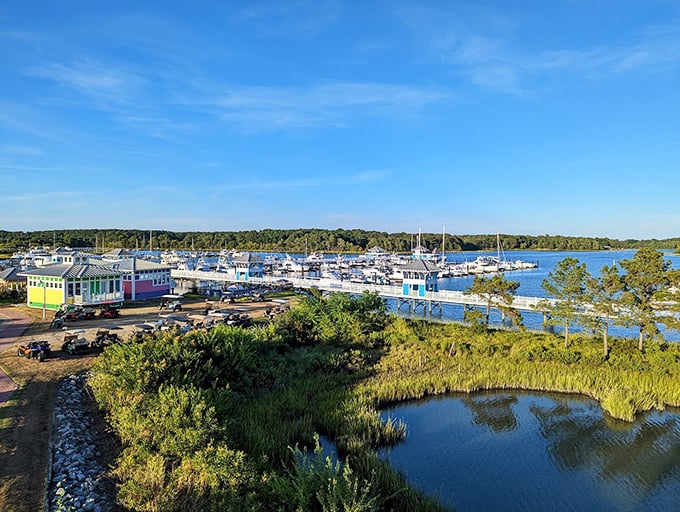 A boater's paradise where vessels bob gently in the harbor, silently plotting their next Chesapeake Bay adventure.