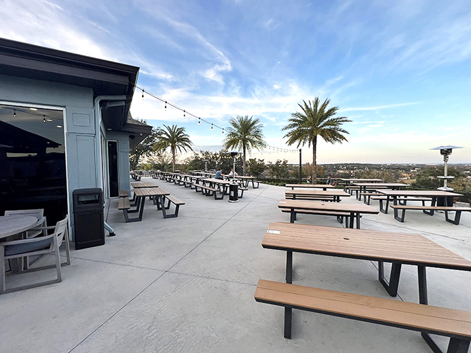 Rooftop dining with palm trees and endless views? This isn't just a meal&mdash;it's Florida showing off what "dinner with a view" really means.