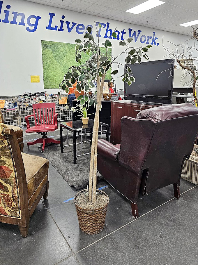 A living room in progress. That leather armchair has stories to tell, and at outlet prices, you can afford to listen.