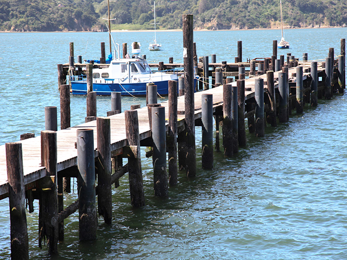 This weathered wooden pier tells stories of countless fishing expeditions and lazy summer days. The kind of place where time slows to match the gentle bay ripples.