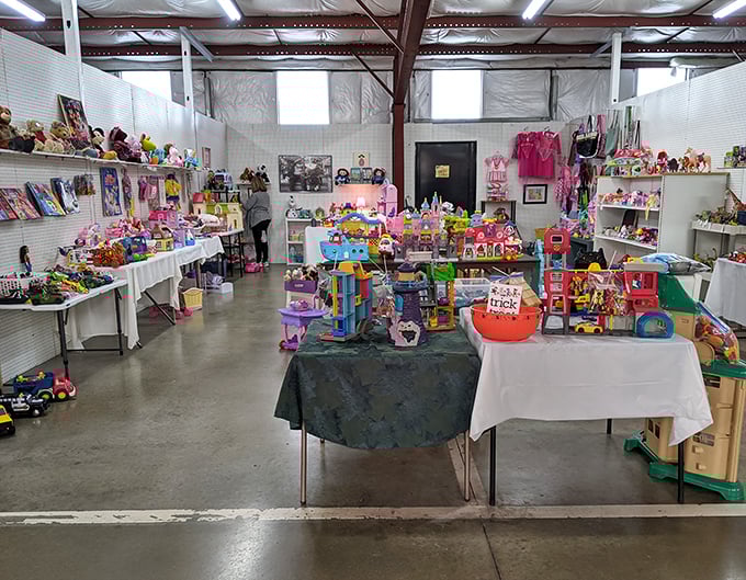 A technicolor explosion of childhood nostalgia where toys from every era wait patiently for their next adventure. Marie Kondo would have a panic attack here.
