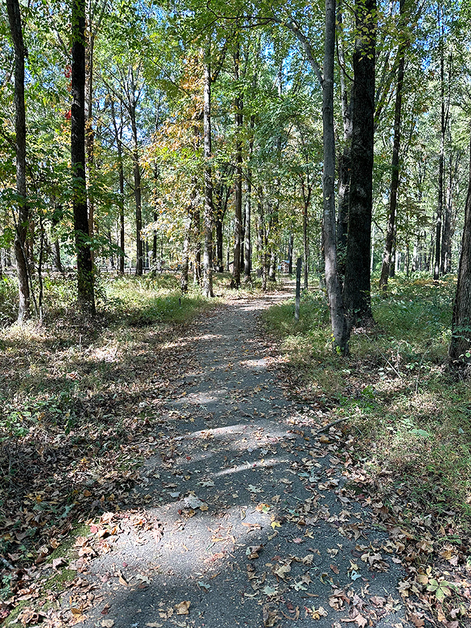 This unassuming trail might not make the cover of Hiking Magazine, but it offers something better&mdash;a genuine slice of Tennessee tranquility.