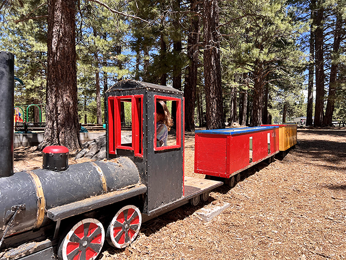 All aboard the nostalgia express! This charming playground train delights the young and the young-at-heart in Truckee's pine-scented parks.