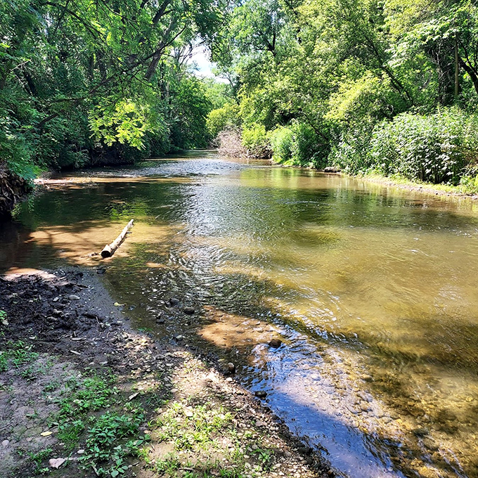 Turtle Creek's gentle waters meander through lush greenery, offering a peaceful retreat where time slows to match the current's unhurried pace.